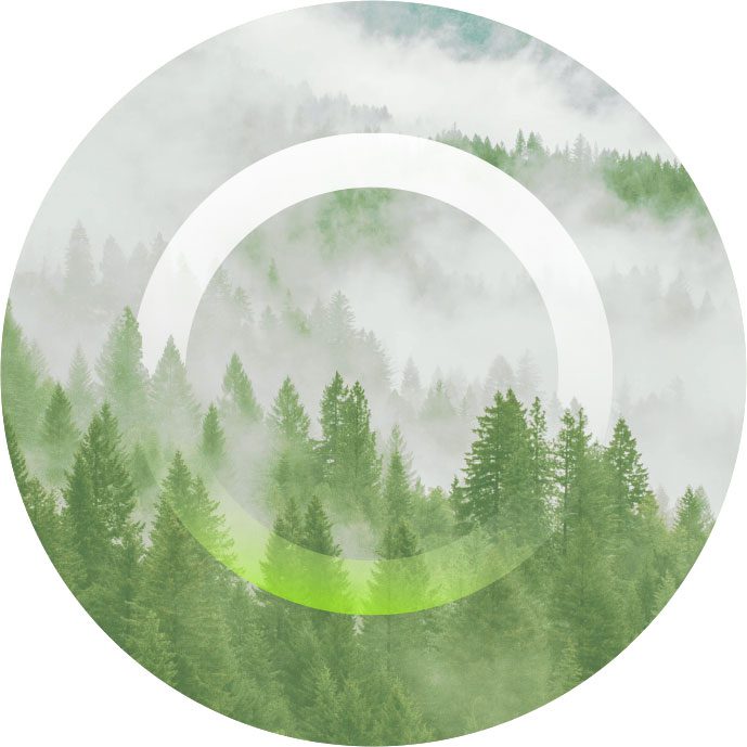 À propos – CICan Connection 2024 Pre-Conference Forum